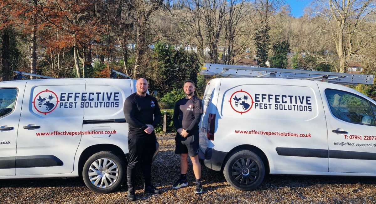 Removal of pests Bromley & Petts Wood | Effective Pest Control