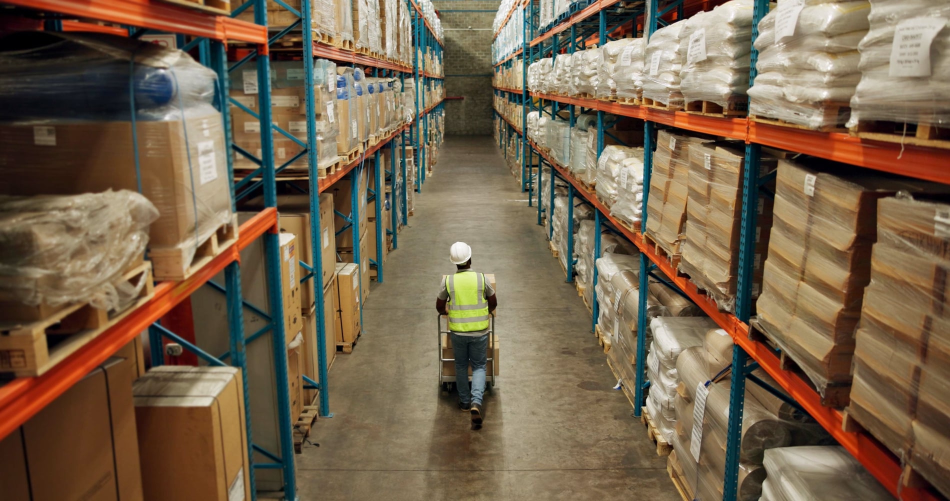 Warehouse pest control solutions - effective pest management