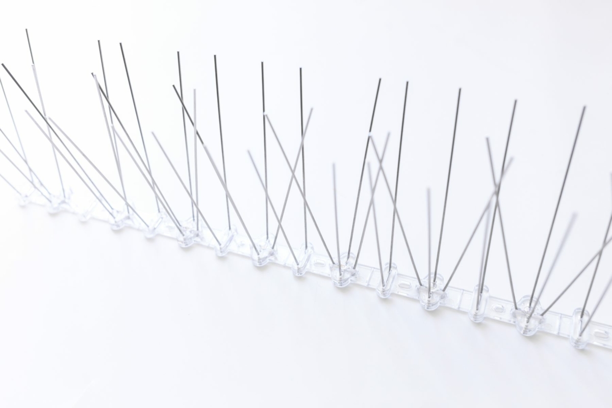 Bird control services: Guide to easy bird removal solutions