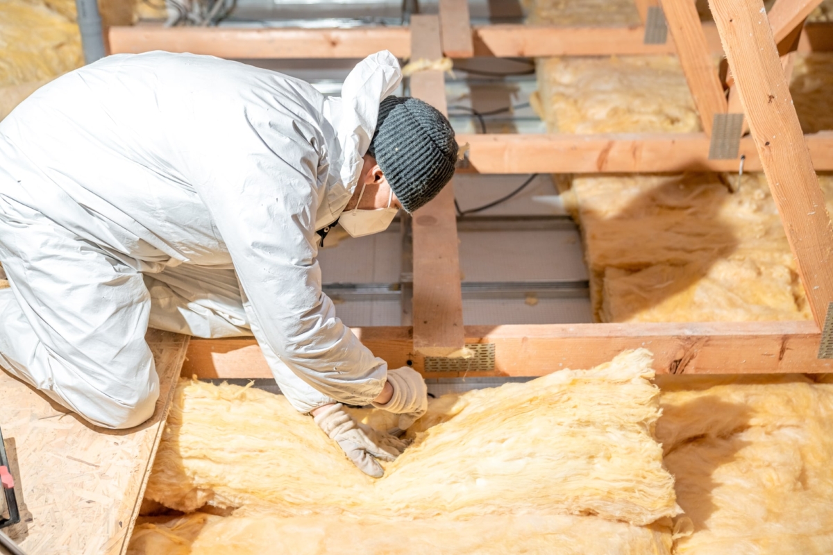 Loft Insulation Replacement | Effective Pest Solutions