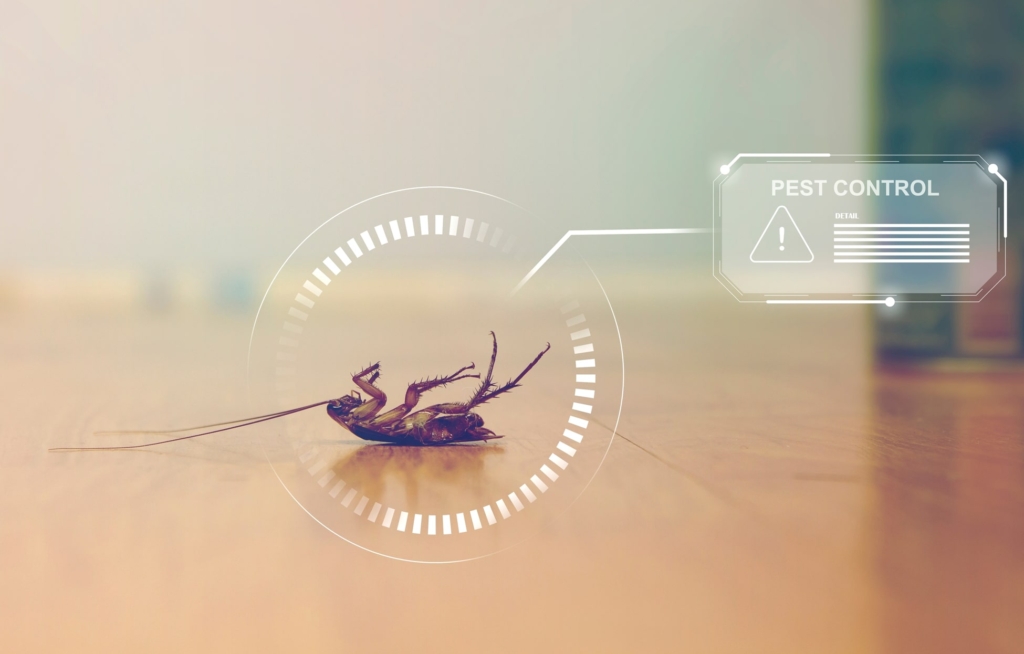 Reliable residential pest control services - contact us